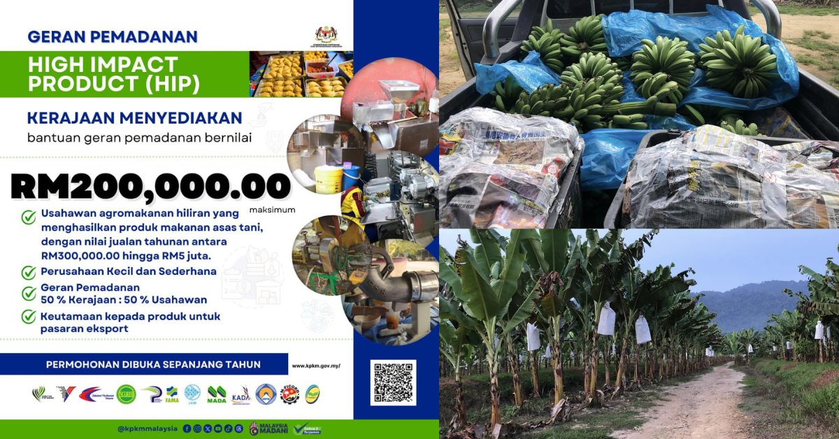 Program Geran Pemadanan High Impact Product (HIP)